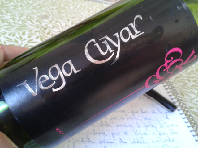 Vega Cuyar 2012