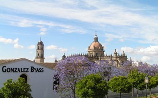 González Byass, grupo bodeguero jerezano con ingresos de 259 millones ...