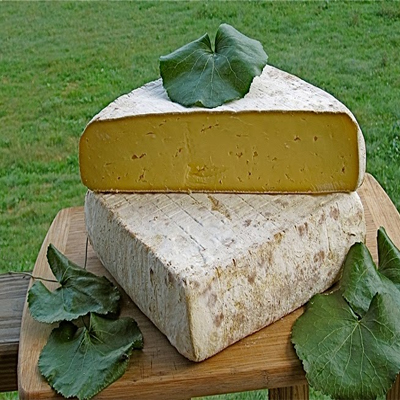 Casu Marzu, el queso sardo con larvas vivas