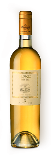 Muffato della Sala 2008