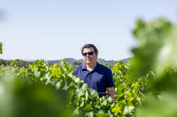 Entrevista a Rodolfo Valiente, enólogo de Viñedos y Bodegas Vegalfaro ...