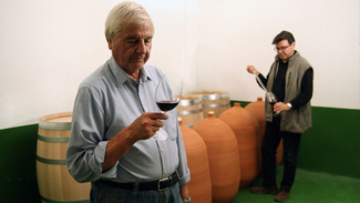 Entrevista a Rodolfo Valiente: viticultor de Bodegas Vegalfaro y ...