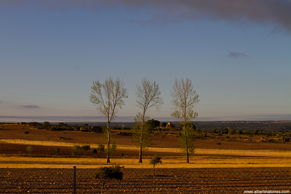 La Sabaria fermosellana