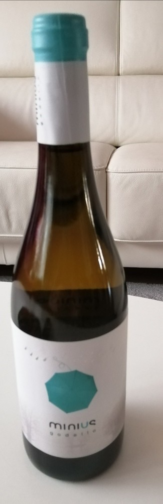 Opinión sobre Minius 2017