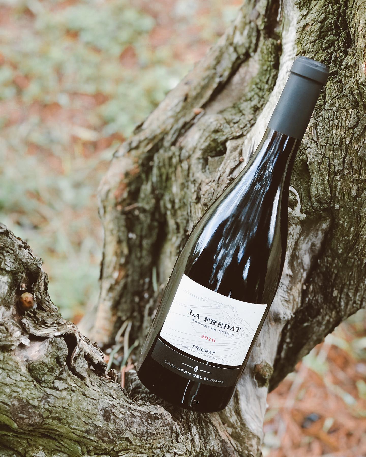 Casa Gran del Siurana: La Fredat en Priorat