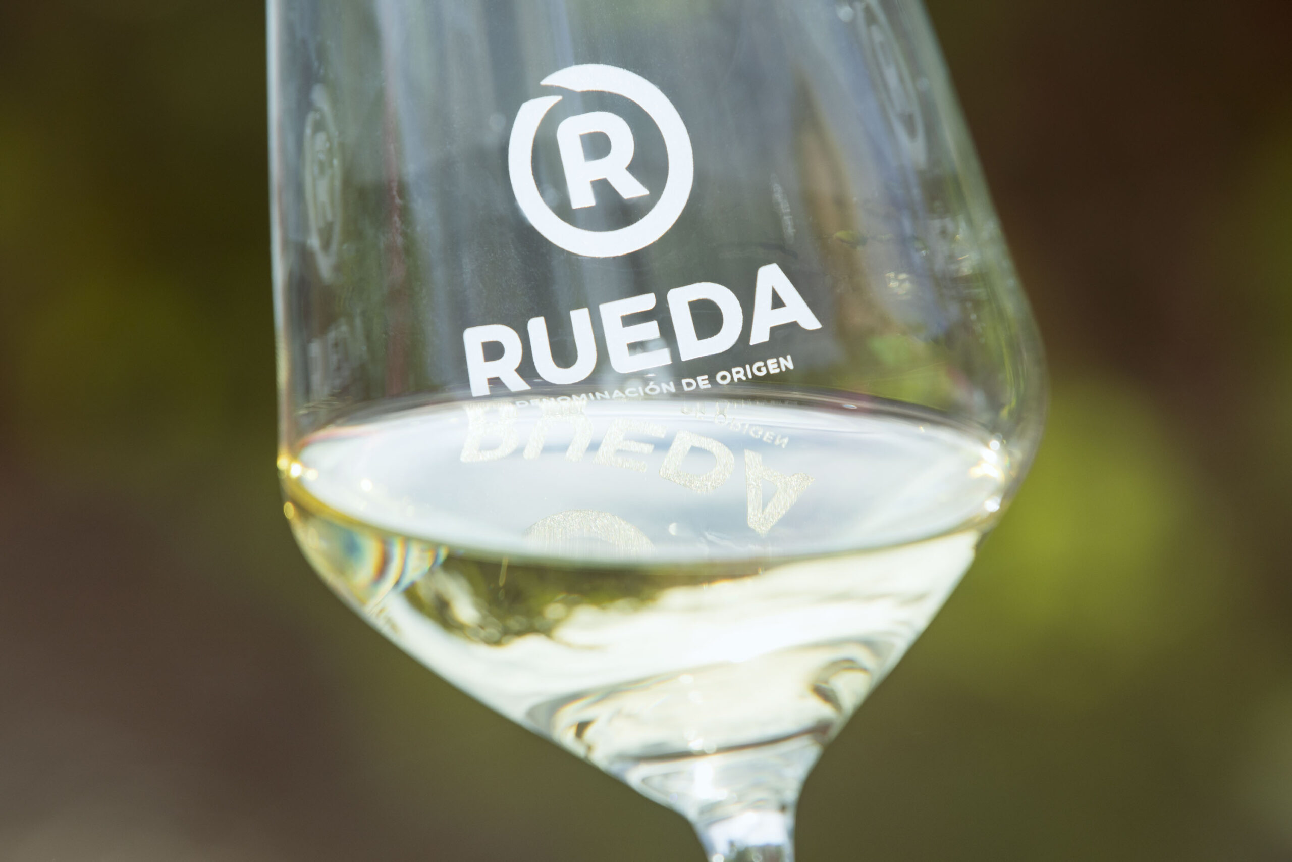 La D.O. Rueda recupera su tendencia de crecimiento y comienza el año ...