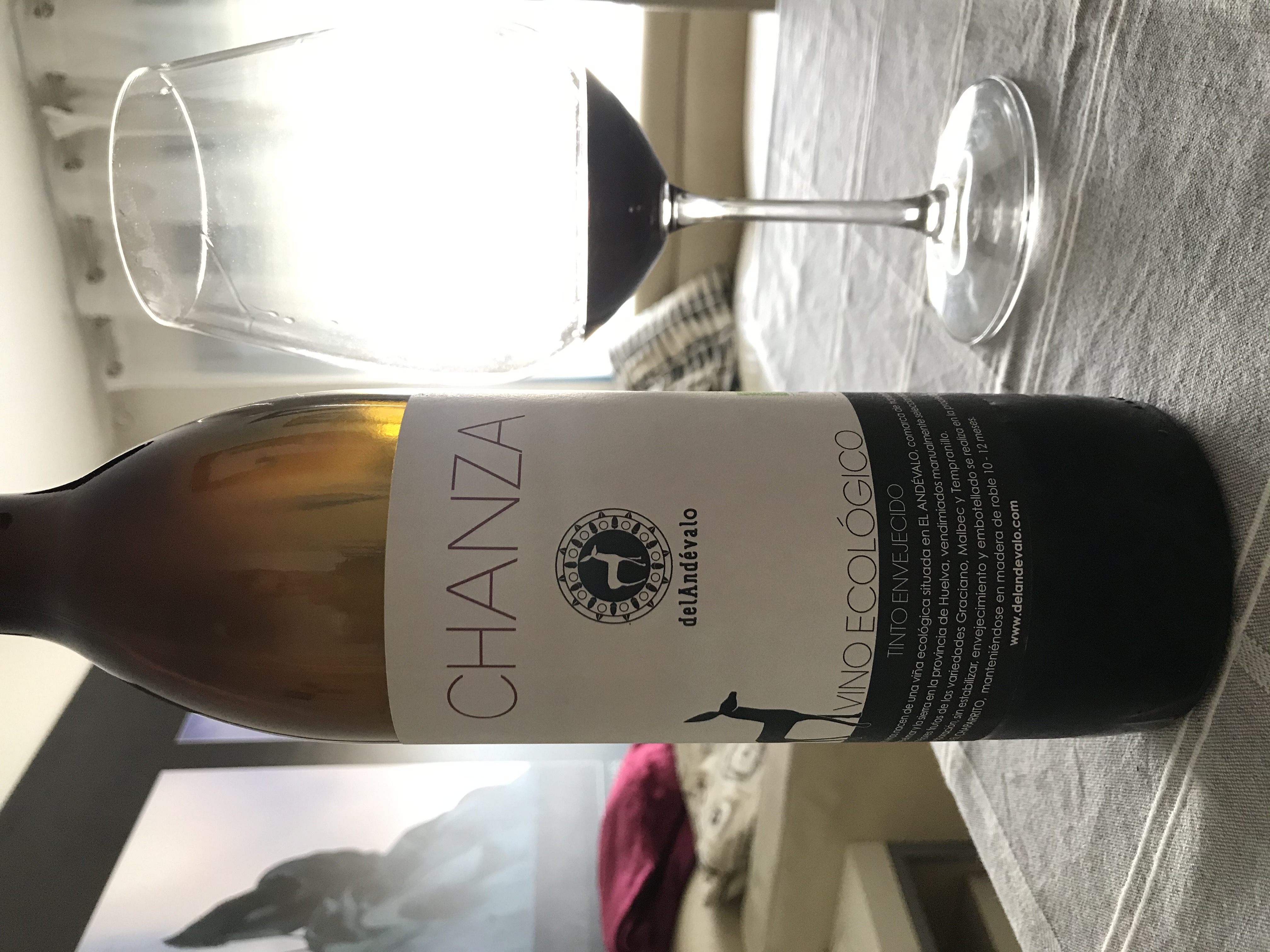 Chanza ecológico Tinto envejecido 2019