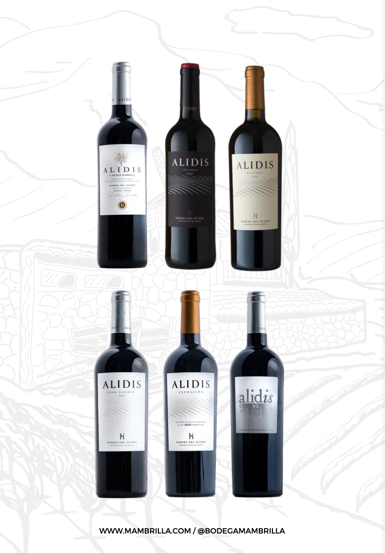 Bodega Alidis- Viña Mambrilla - Mambrilla de Castrejón