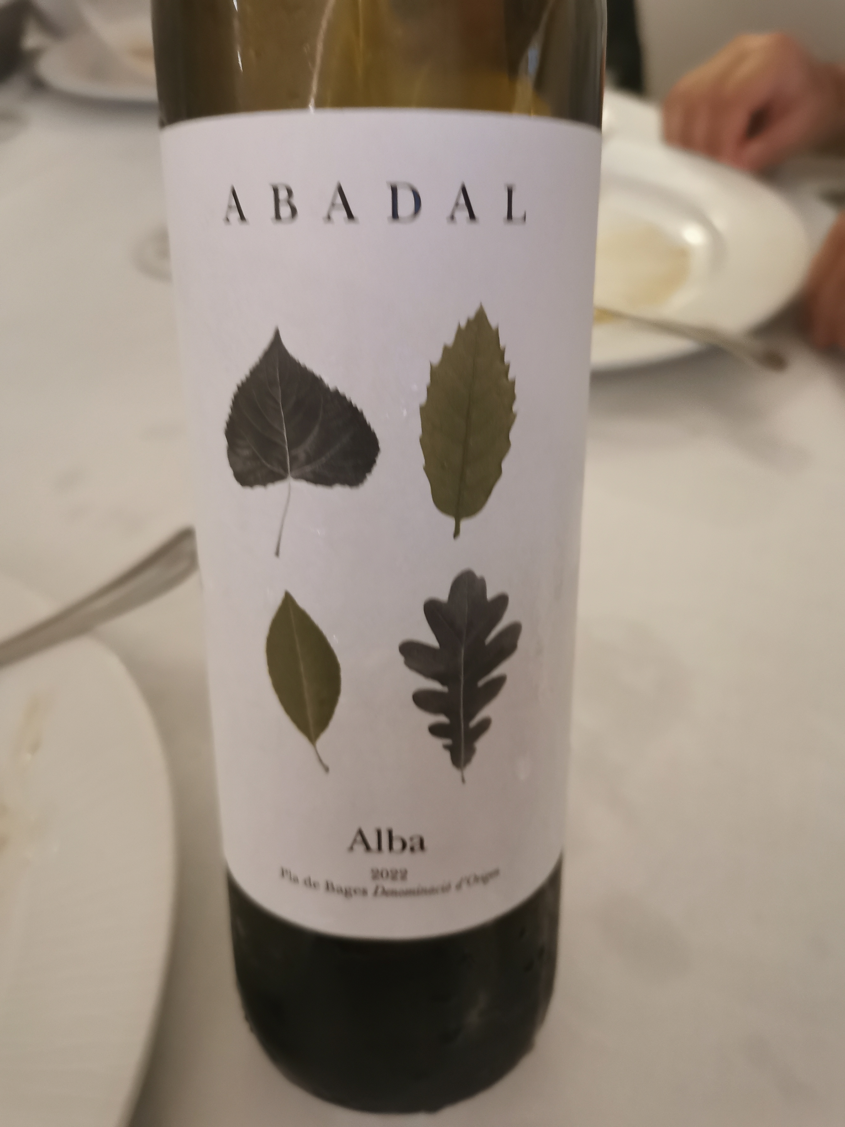 Abadal Alba 2022