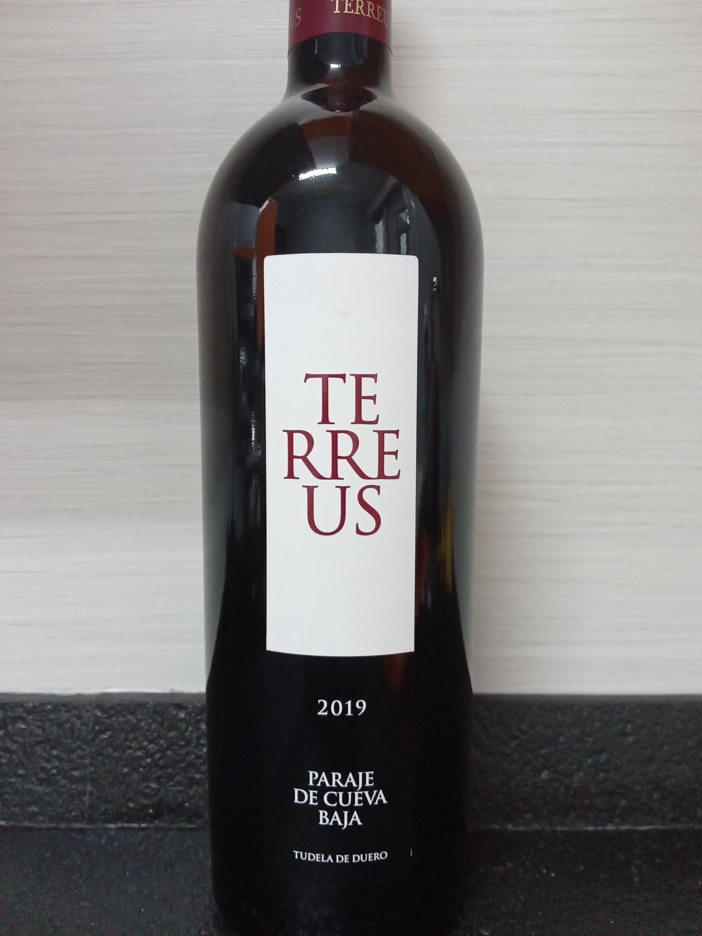 Terreus 2019