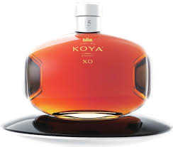 Brandy Koya 15 años