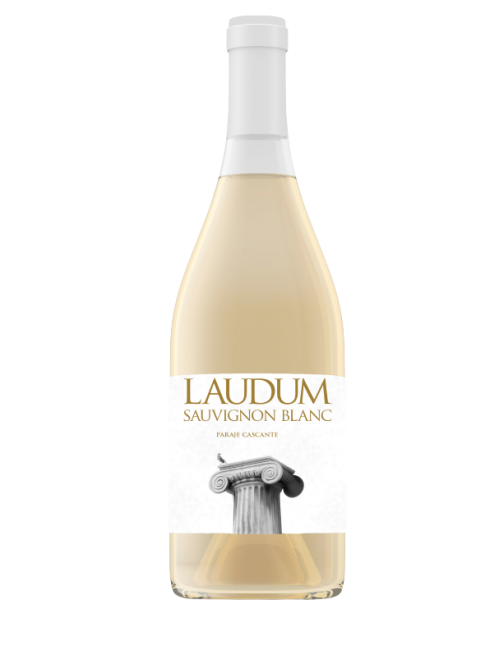Laudum sauvignon Blanc 2022