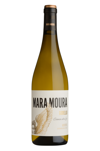 Opinión sobre Mara Moura Godello sobre Lías 2023